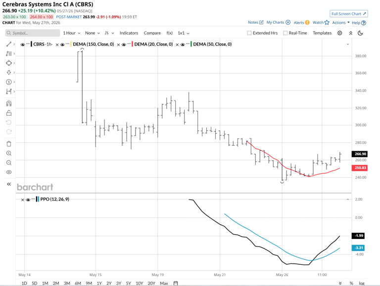 The SpaceX IPO is a bet that retail investors love Elon Musk so much ...
