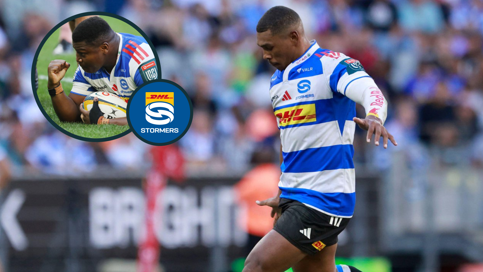 Stormers player ratings: Double World Cup winner’s calming influence ...