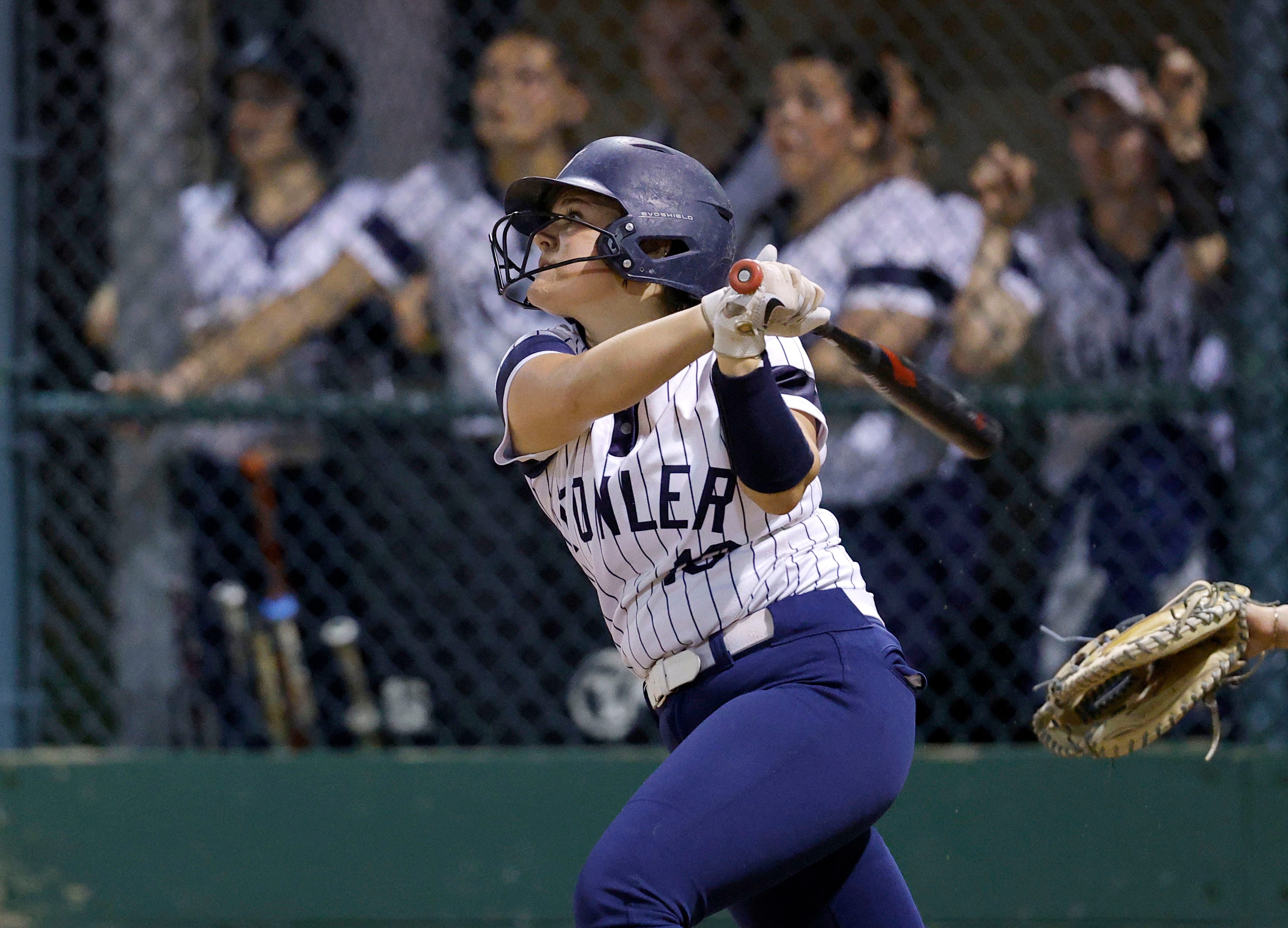 MHSAA softball districts: Fowler, Dansville capture titles