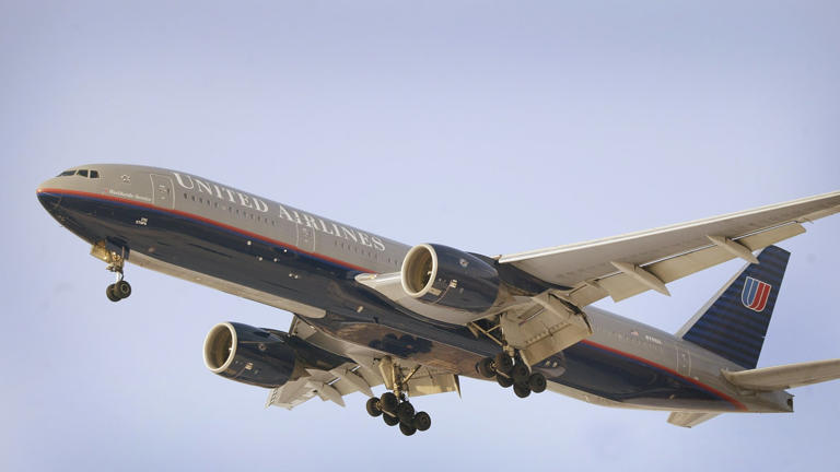 Chaos erupts after passenger tries to rush United Airlines cockpit