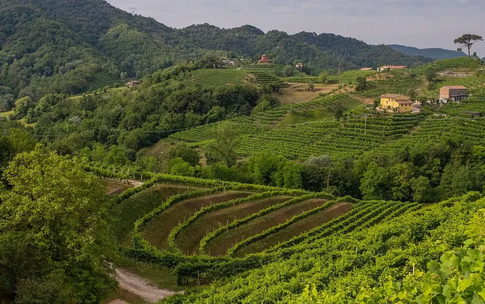 Prosecco Hills offer serene alternative to Venice crowds