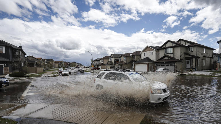 Environment Canada issues rainfall warnings, special statement for BC ...