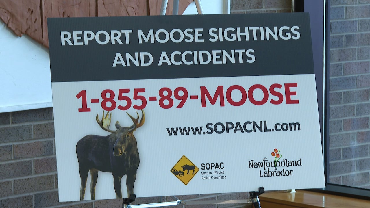 NL nearly doubles budget for more highway moose fencing