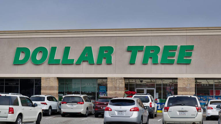Creator shares her 6 best Dollar Tree cleaning hacks (these are great ...