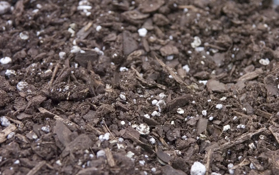 Potting mix secrets every plant parent should know