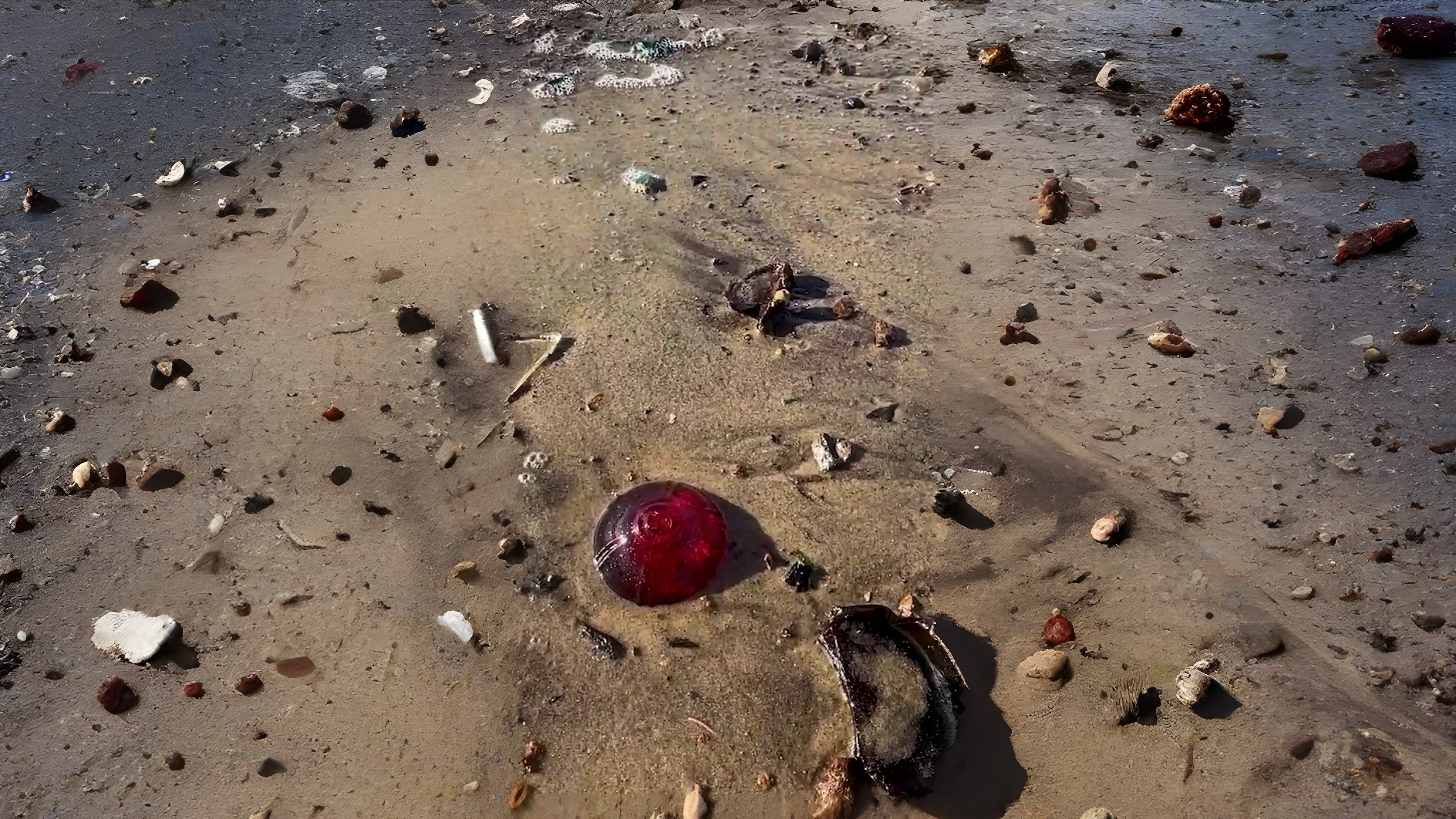 Mudlarking a deserted foreshore