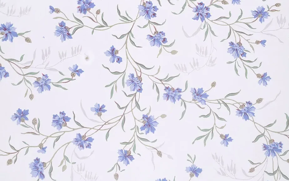 Floral wallpaper ideas that feel fresh and modern
