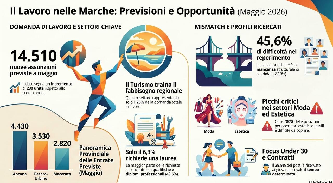 Marche, previste 14.510 assunzioni, ecco le figure professionali più ...