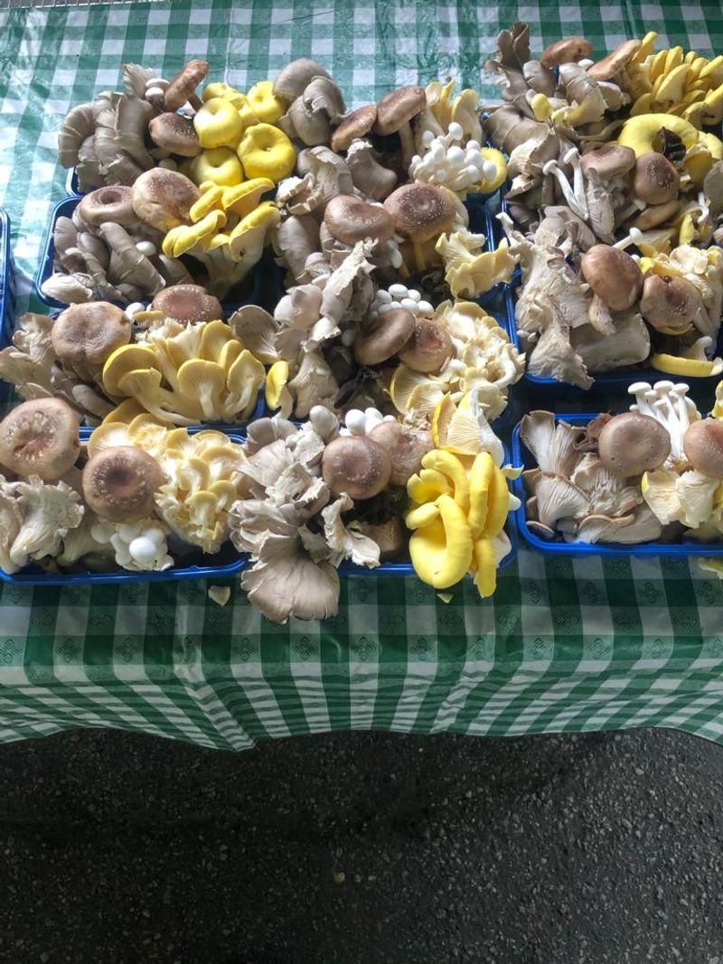 This Maryland market has handmade and fresh goods you can’t find ...