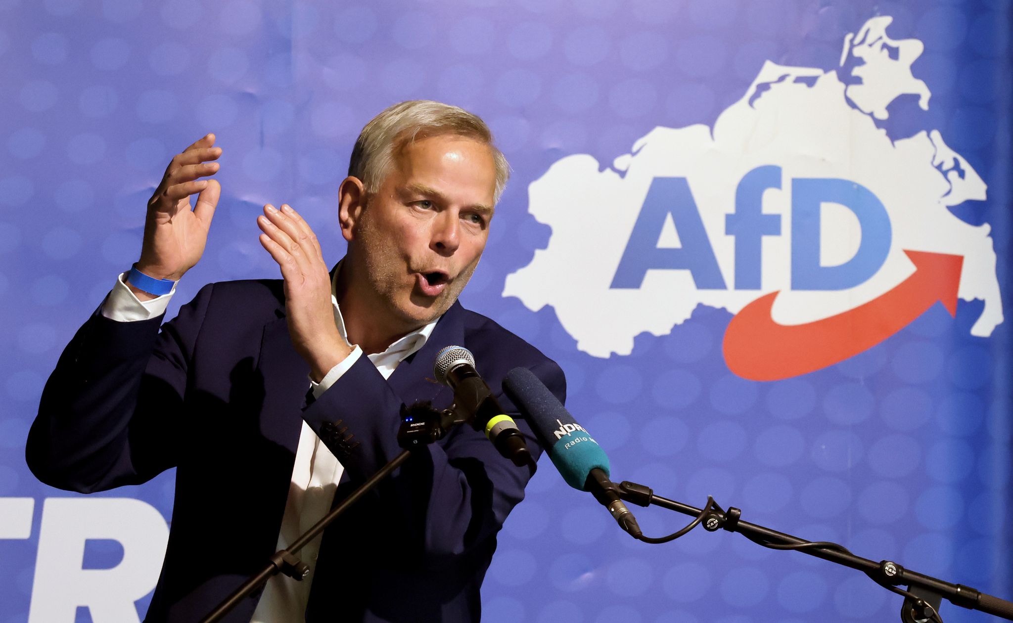 AfD MV beschließt Wahlprogramm: Seifert Generalsekretär