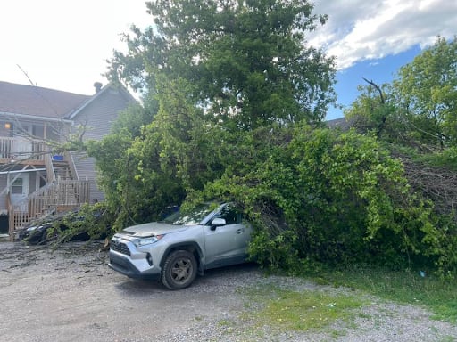Communities in eastern Ontario, western Quebec lose power following ...