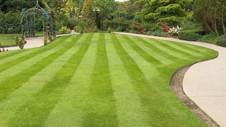 How high should mower blades be to create lawn stripes?