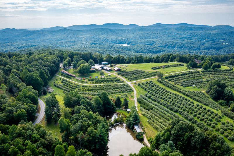 The North Carolina mountain orchard where celebrated mini apple cider ...