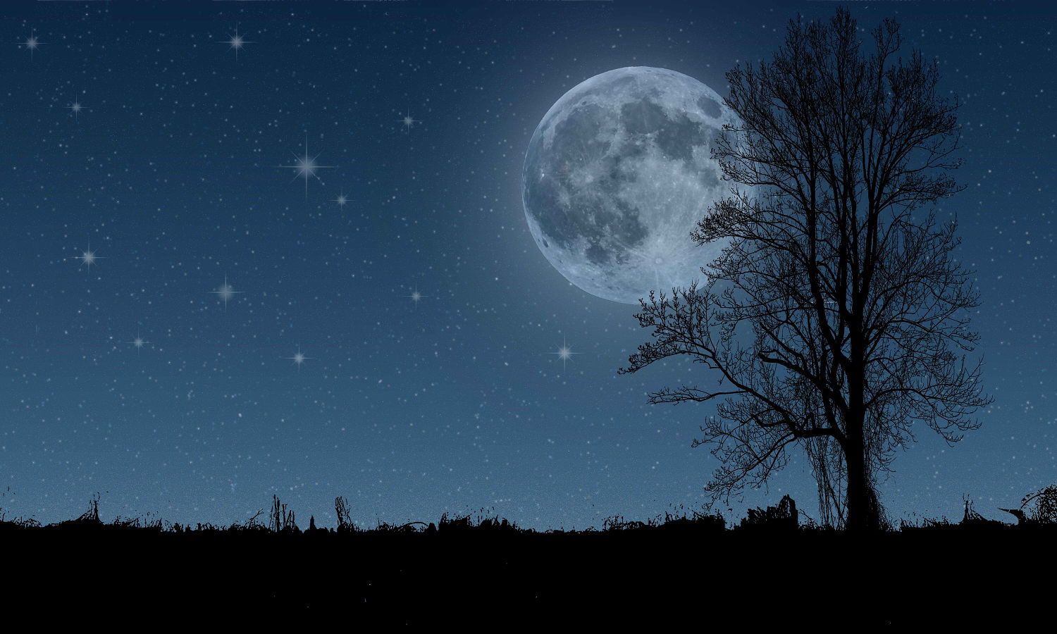 The 4 luckiest signs during May’s full moon in Sagittarius