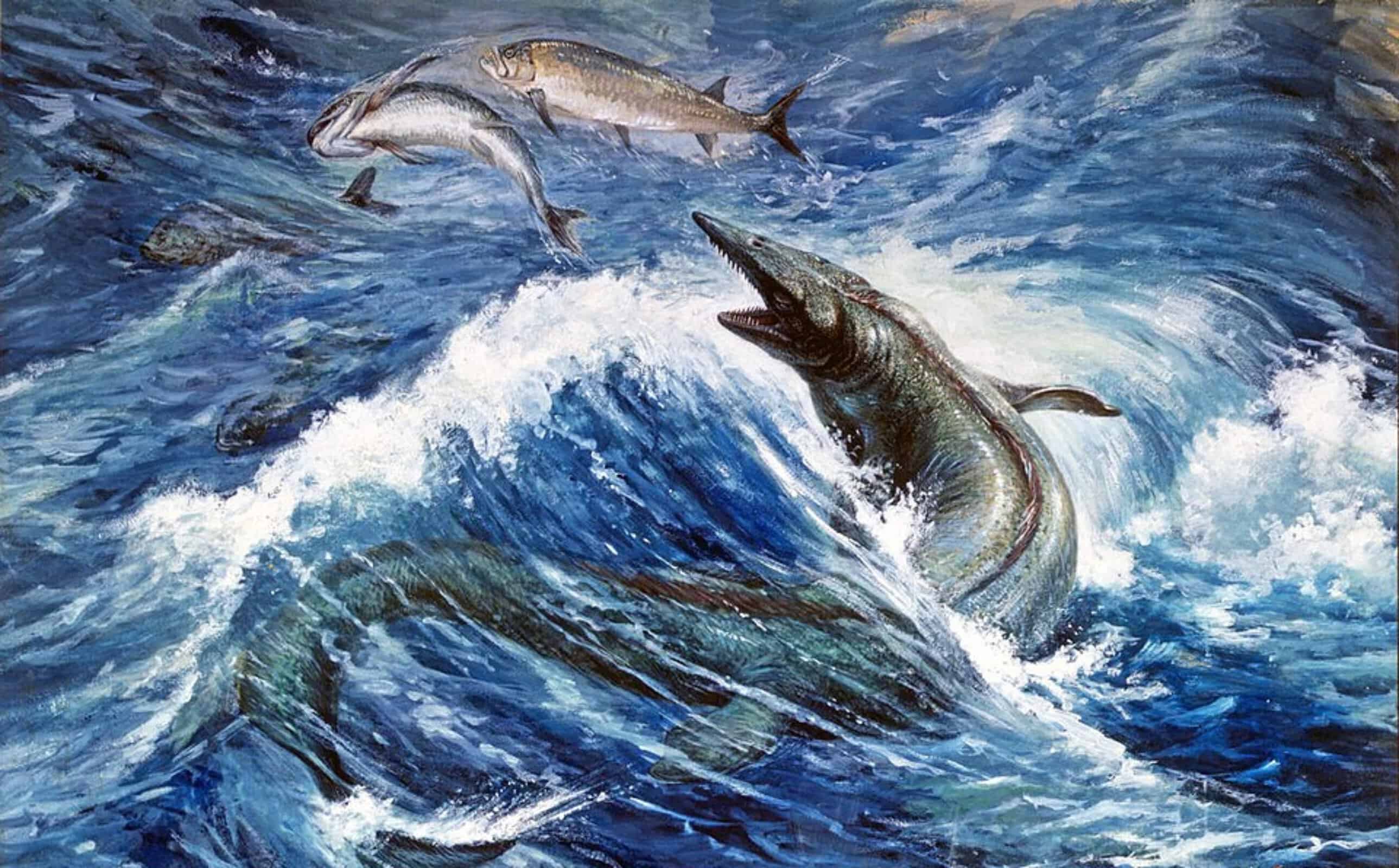 The sea tyrant that hid in US museums for 150 years
