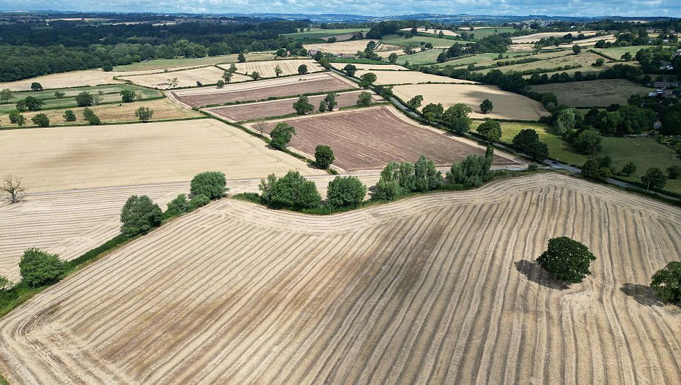 Experts warn UK food security faces escalating threats