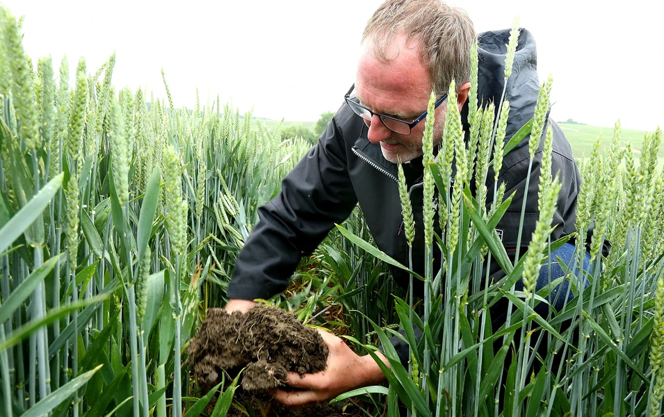 Farm soil microbes show unexpected resilience to heat stress