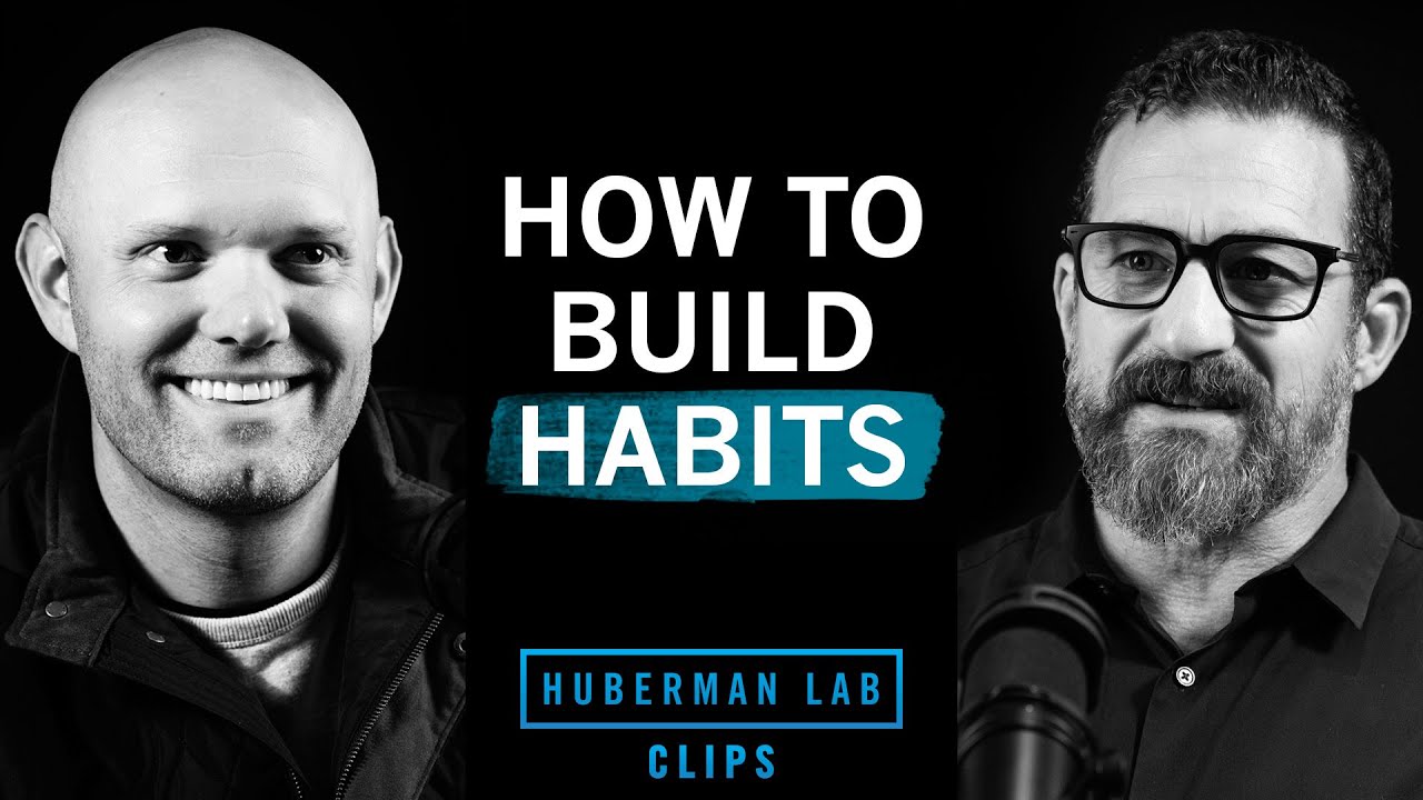 4 steps to building a habit | James Clear & Dr. Andrew Huberman