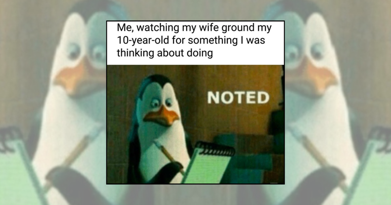 A premium collection of funny memes for people running on vibes alone