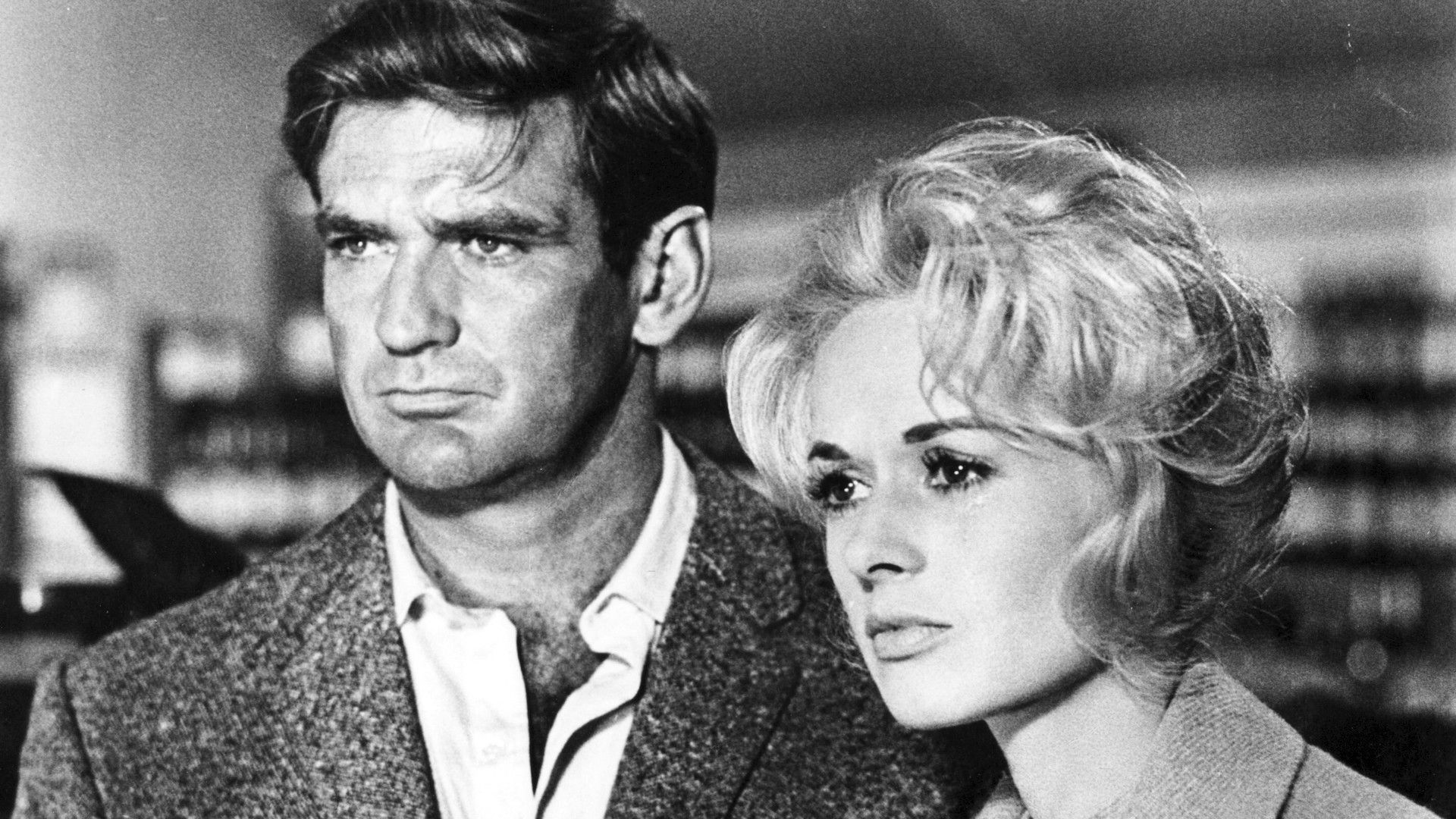 Alfred Hitchcock’s The Birds is getting new TV remake