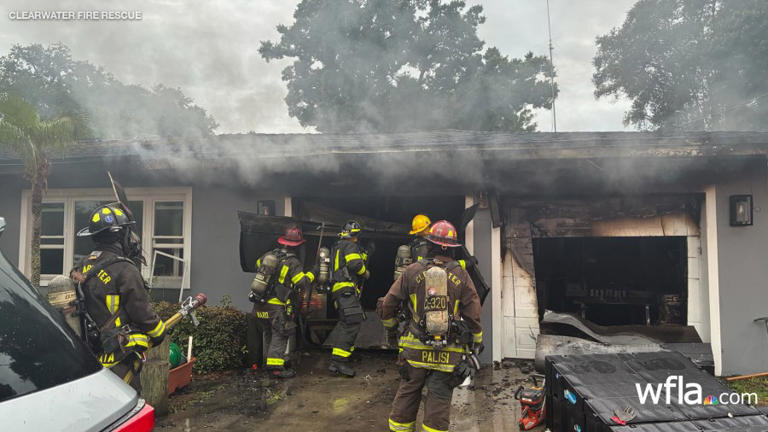 Home fire in Clearwater kills 3 cats; 4 occupants escape unharmed