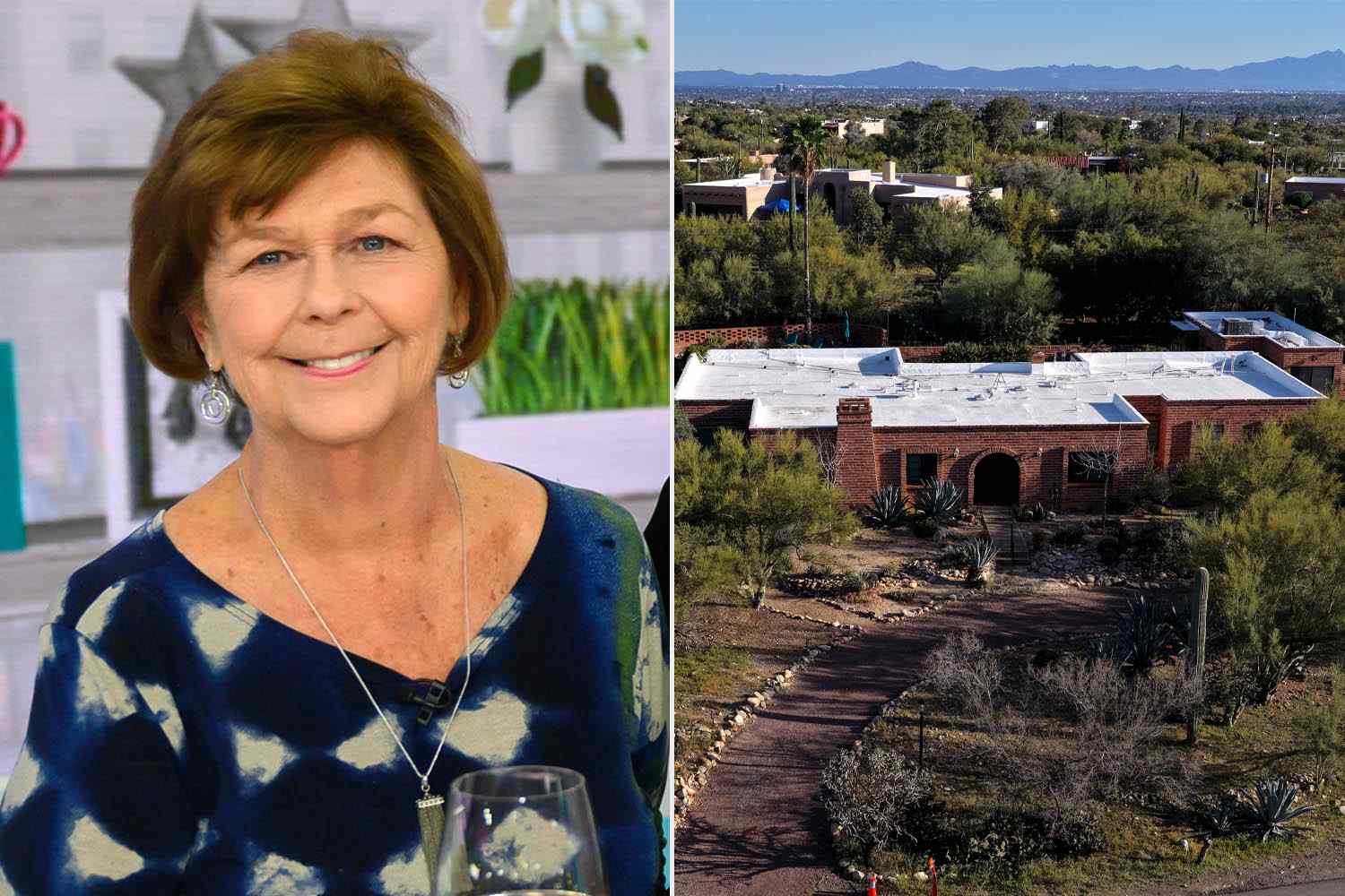 Expert weighs in on human remains found near Nancy Guthrie's house as ...