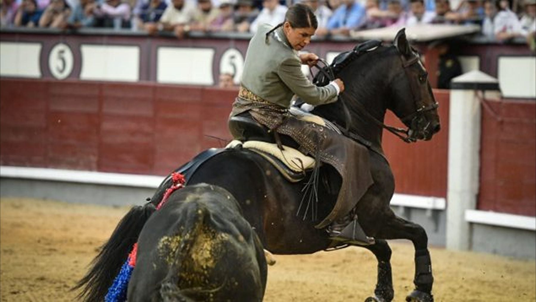 Horario y dónde ver la corrida de toros de Rui Fernandes, Diego Ventura ...