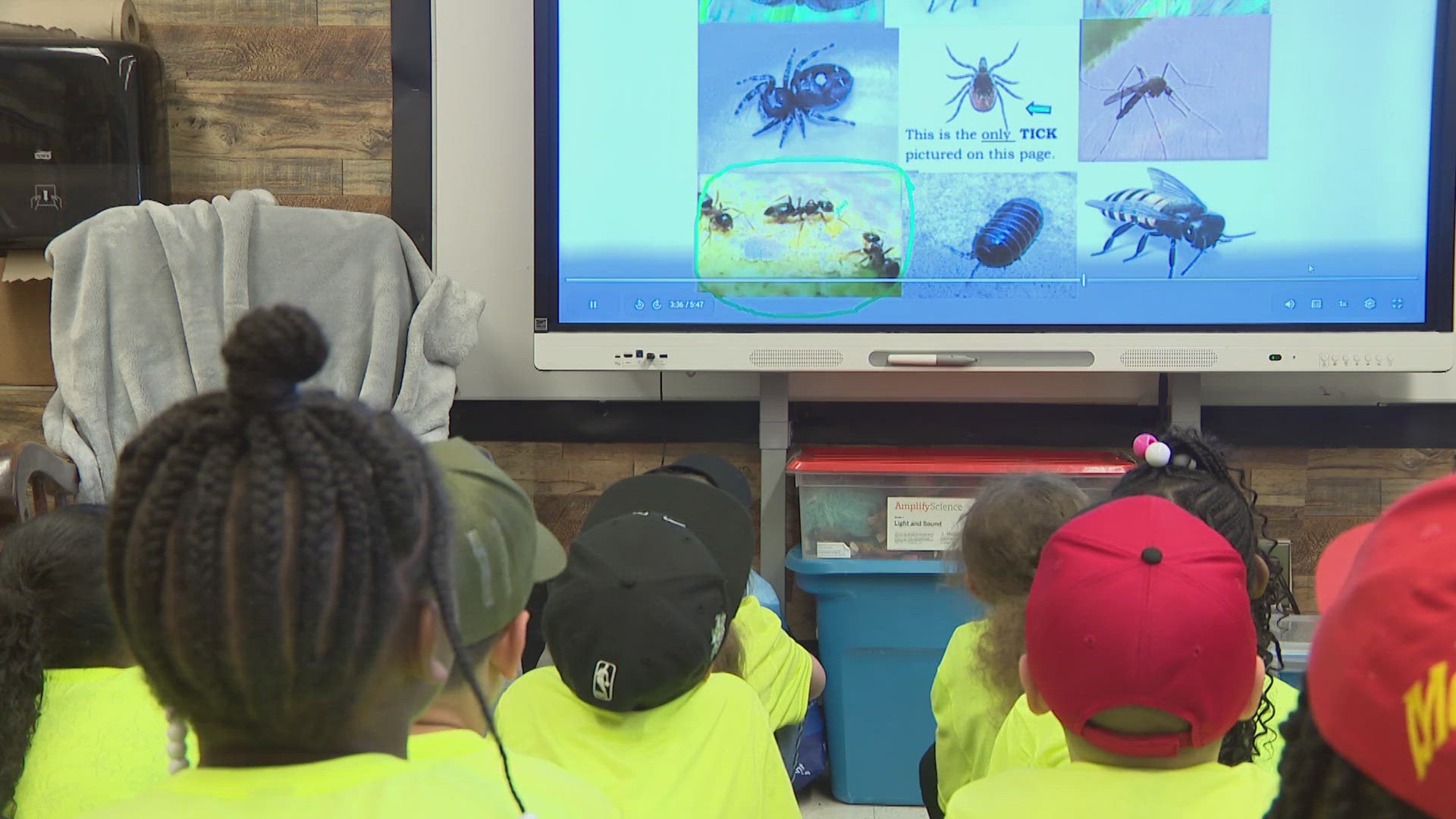 Maryvale Primary holds Lyme disease awareness day