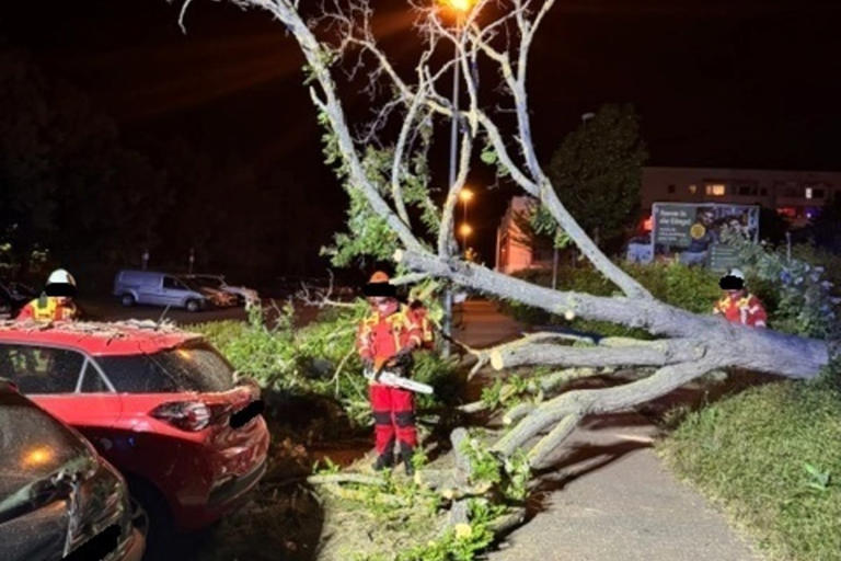 Kurzes, aber heftiges Unwetter: Baum demoliert mehrere Autos