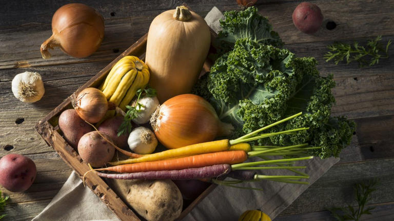 7 vegetables to sow in June – for a bountiful supply of homegrown ...
