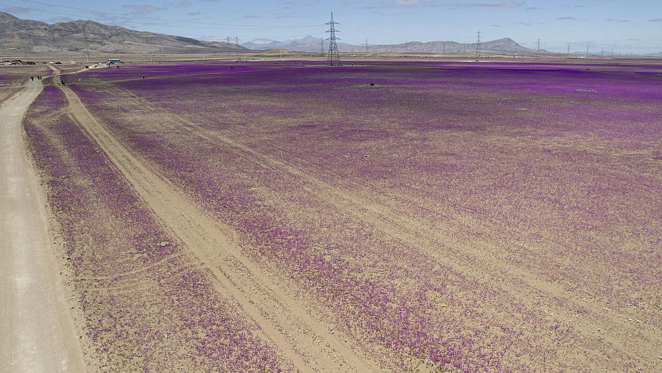 Chile travel dreams from desert to glaciers