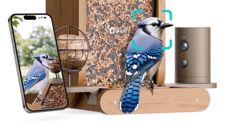Walmart's solar camera bird feeder is now almost 70% off — 'I'm obsessed!'