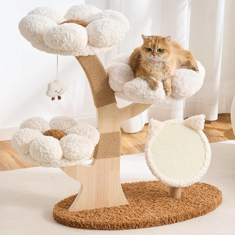 Amazon’s charming $90 floral cat tree is like functional art
