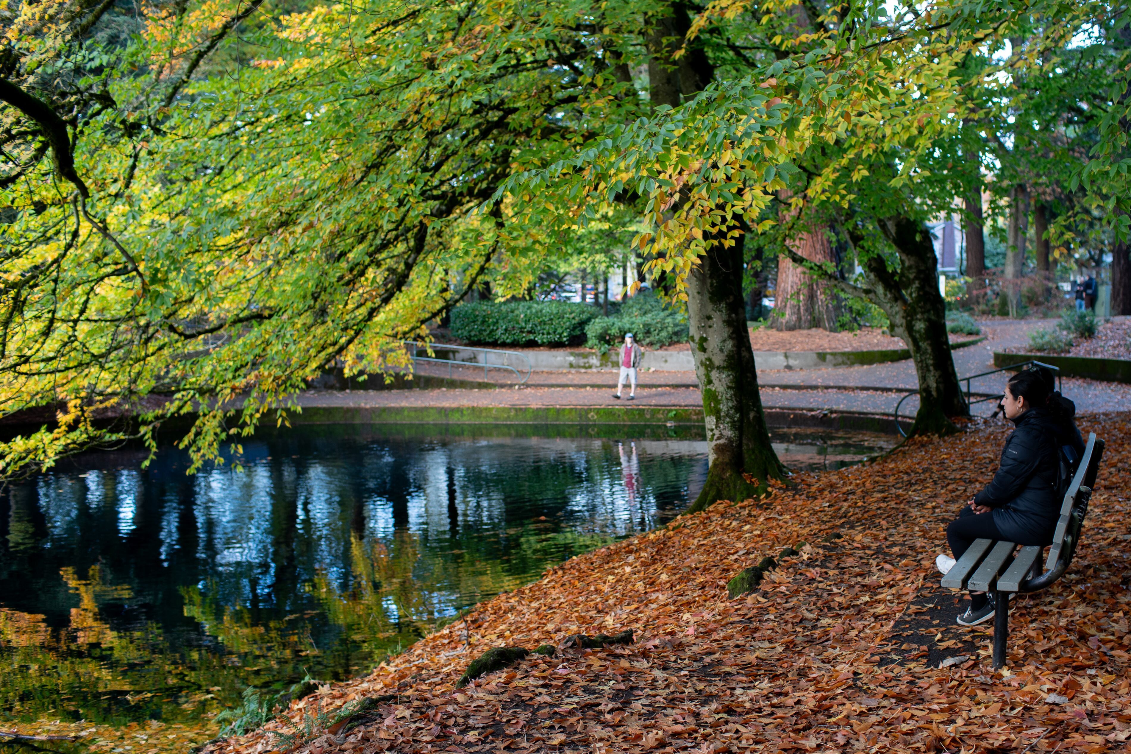 Portland weekend weather starts cool before warm temperatures arrive ...