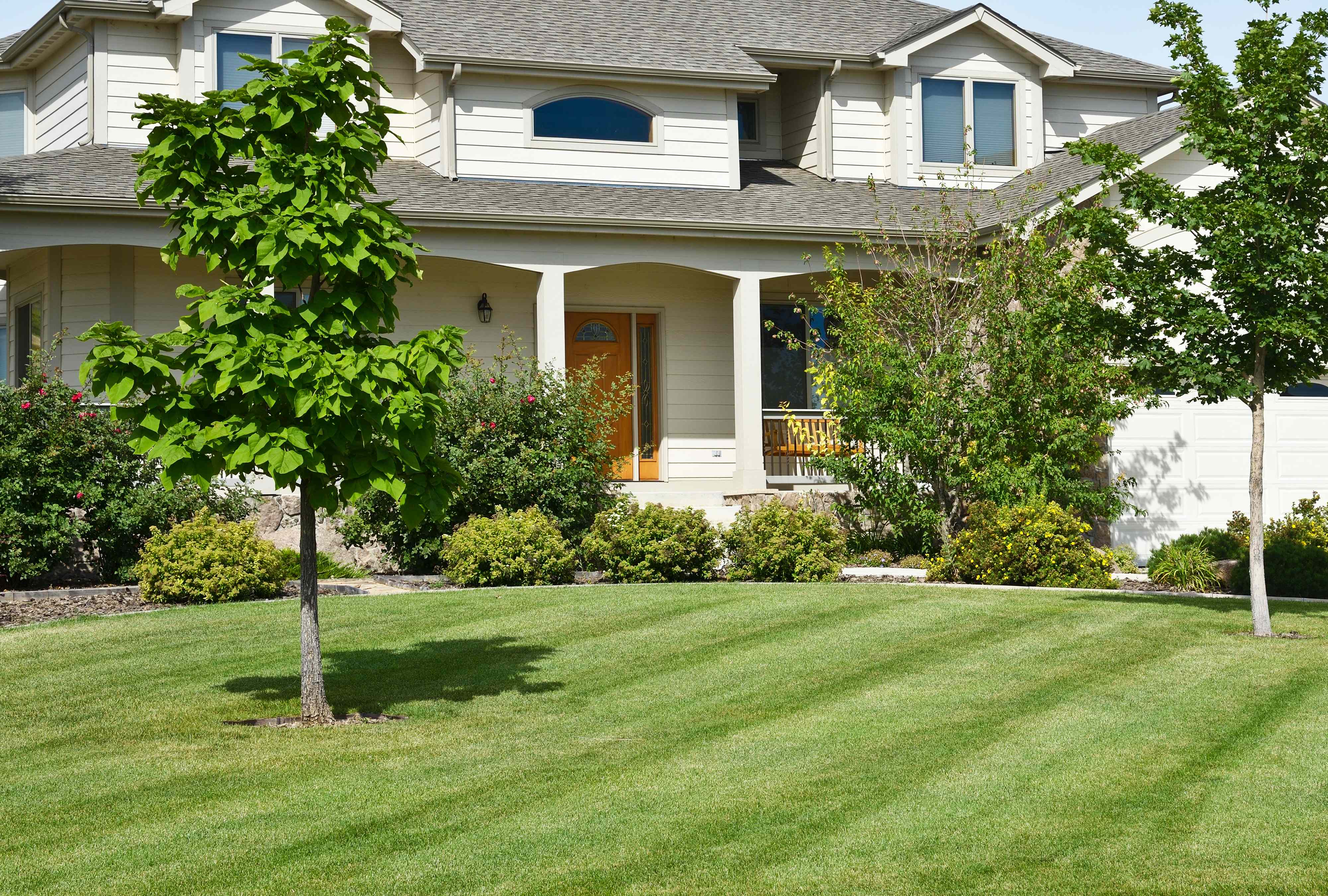 How to keep your grass green while using less water, according to lawn ...