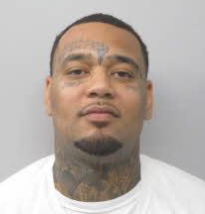 Dog owner in deadly Chatham County attack charged with involuntary ...