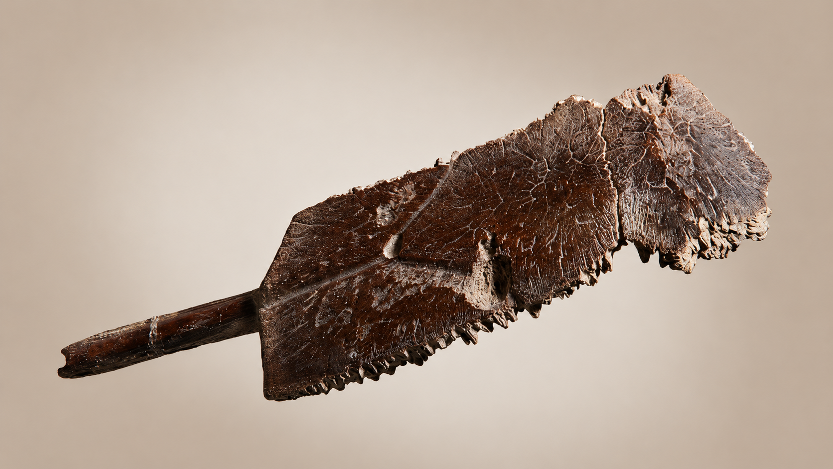 Mystery finds hidden in the Thames mud