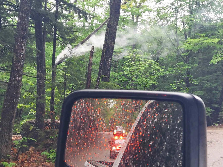 Power outages climb in Maine as strong winds bring trees down onto wires
