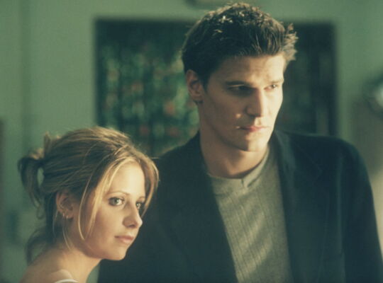 David Boreanaz frustré par Sarah Michelle Gellar : La vraie raison de l ...