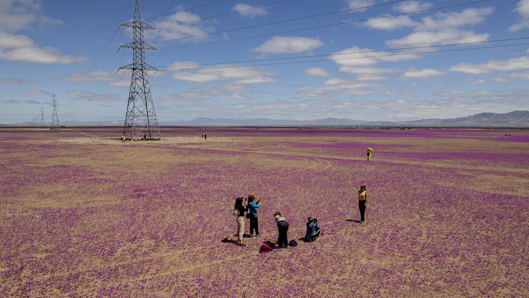 Chile travel dreams from desert to glaciers