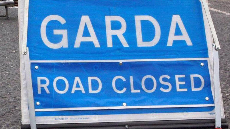 Man in his 20s dies after single-car crash in north Dublin