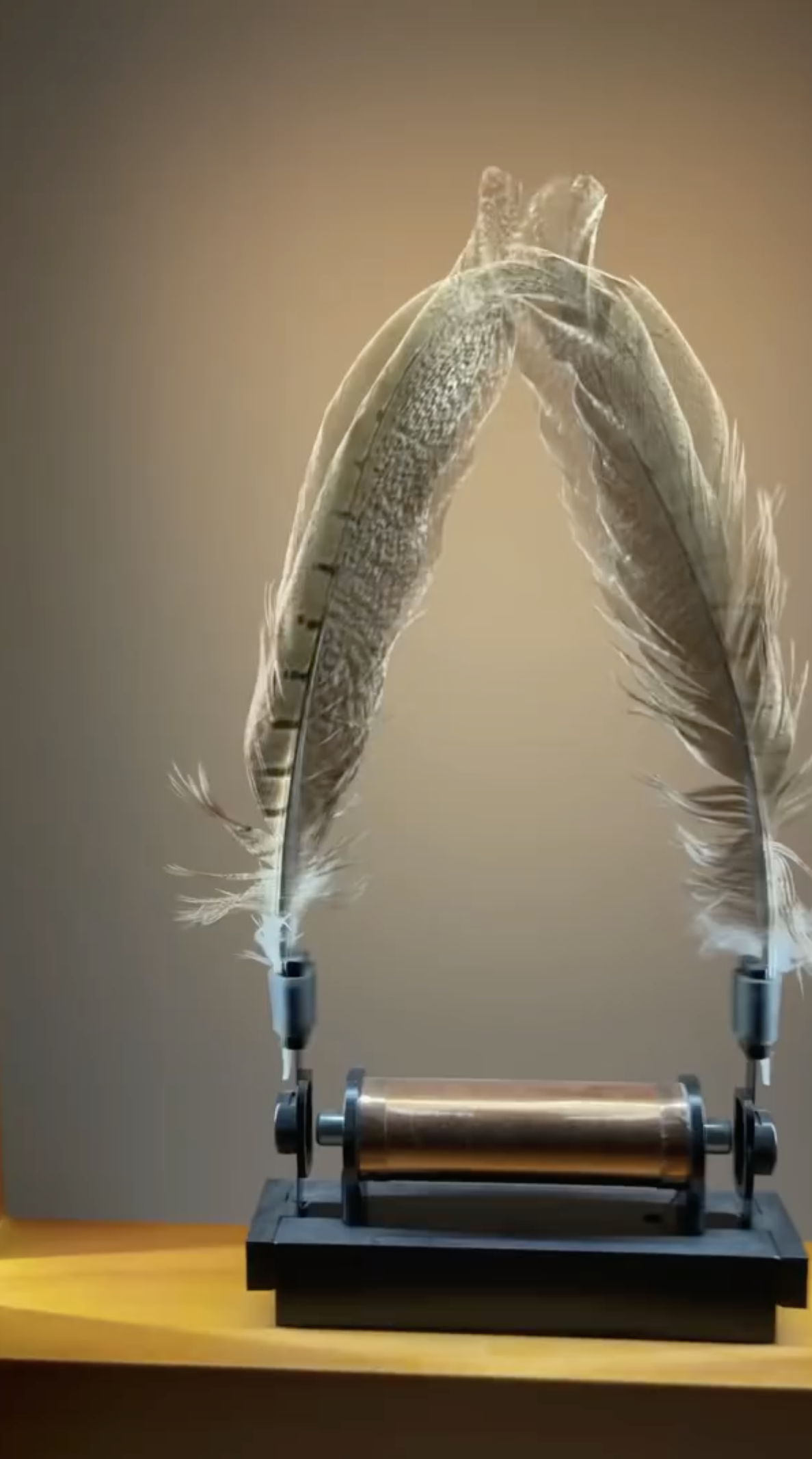 Your brain will not survive these illusions