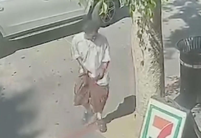 Hollywood Walk of Fame becomes scene of brutal dog attack, stabbing ...