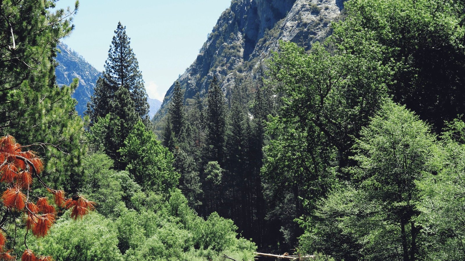 California’s most incredible canyon is deeper than the Grand Canyon and ...