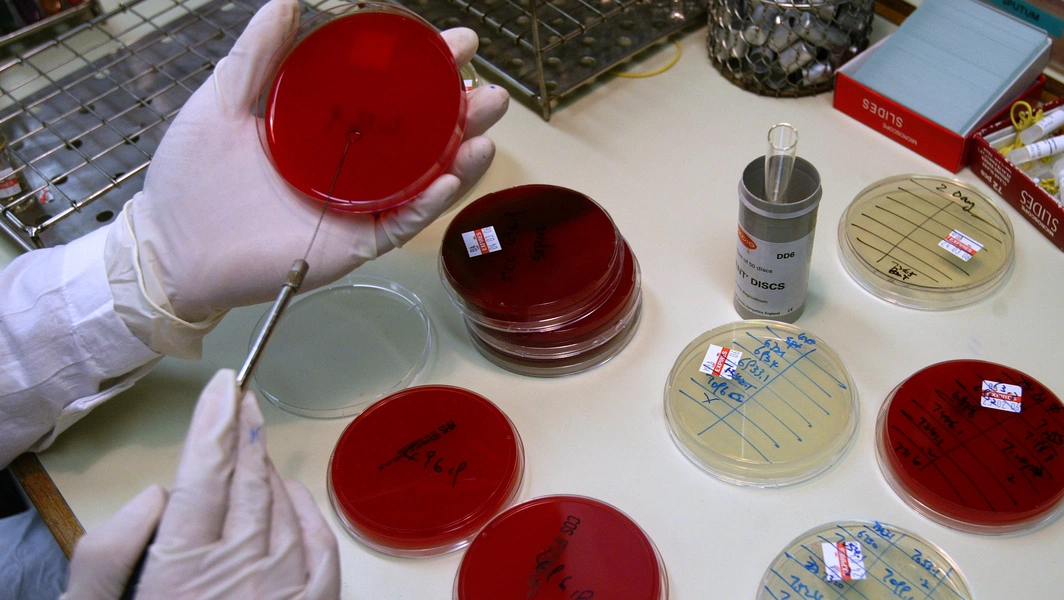 Climate change linked to 10% rise in salmonella drug resistance