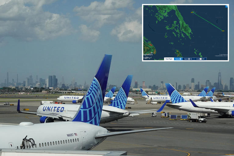 United Airlines flight makes emergency landing after unhinged passenger ...