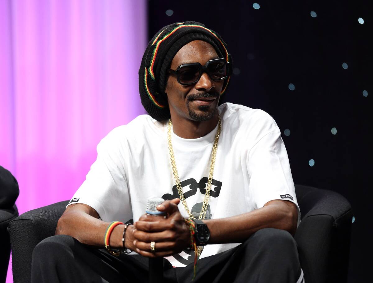 Snoop Dogg's journey from rapper to household name