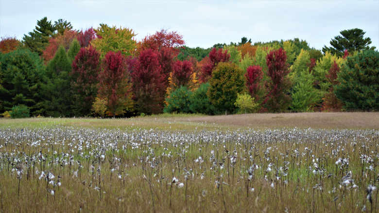 Green Bay's fast-growing suburb is a Bayside Wisconsin village with ...