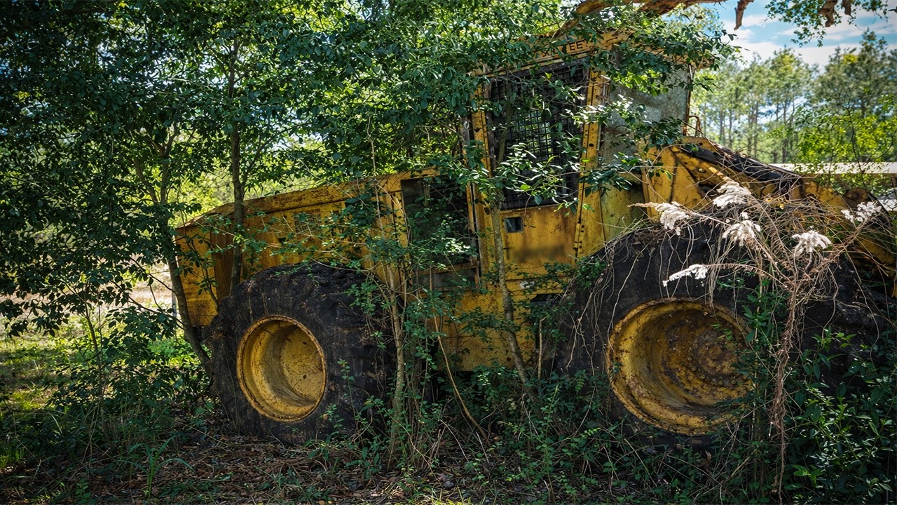 The bushes were hiding a machine nobody expected
