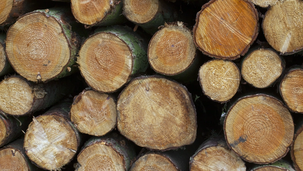 Mastering firewood for cozy, safe nights